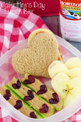 Valentine's Day Lunch Box for Kids - Simple Joy