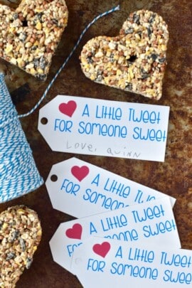 Valentine's Day Bird Feeder Printable Tags - Simple Joy