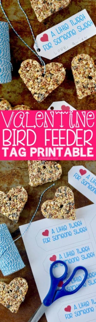 Valentine's Day Bird Feeder Printable Tags - Simple Joy