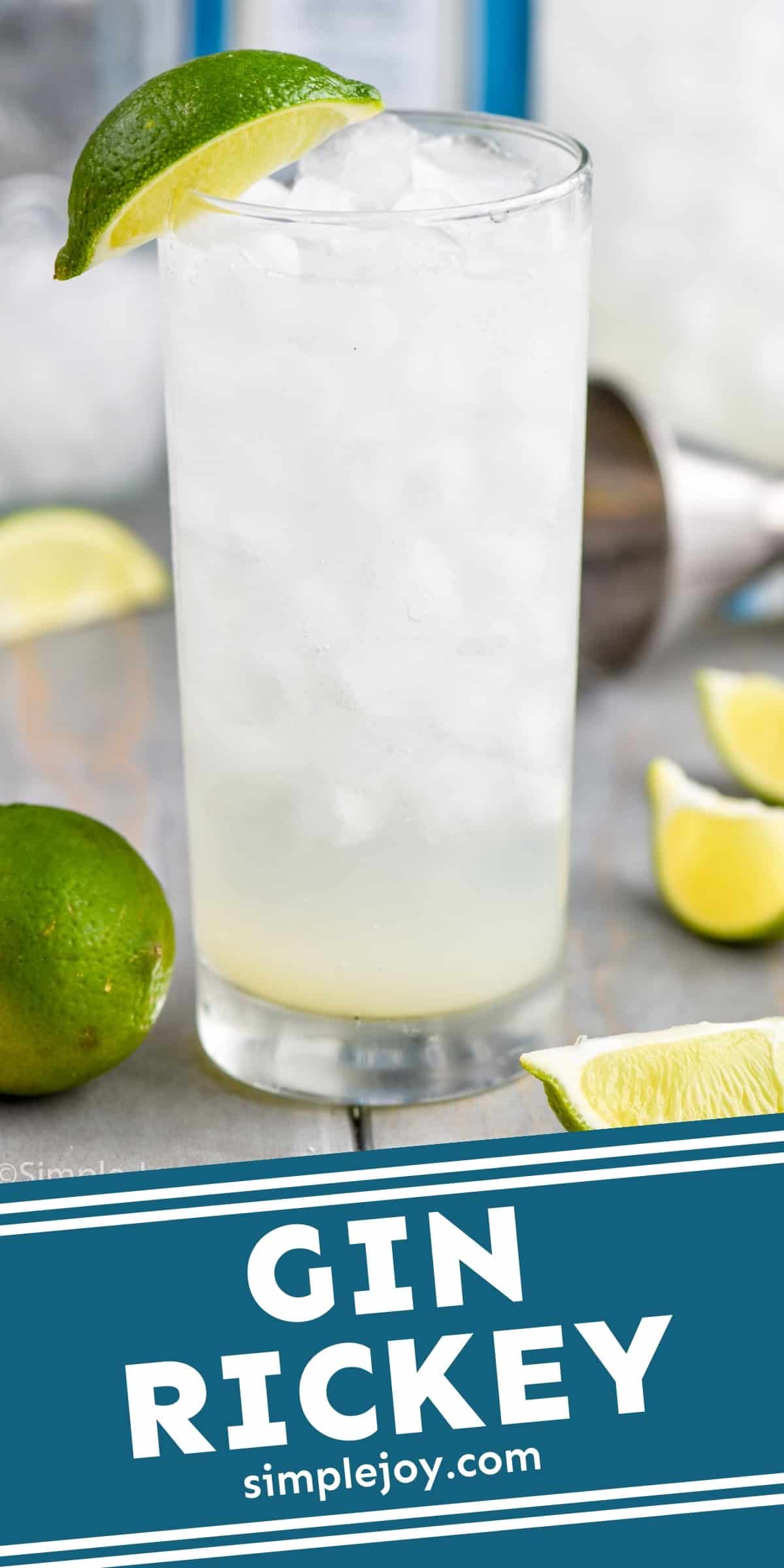Gin Rickey Recipe (Low Calorie!) - Simple Joy