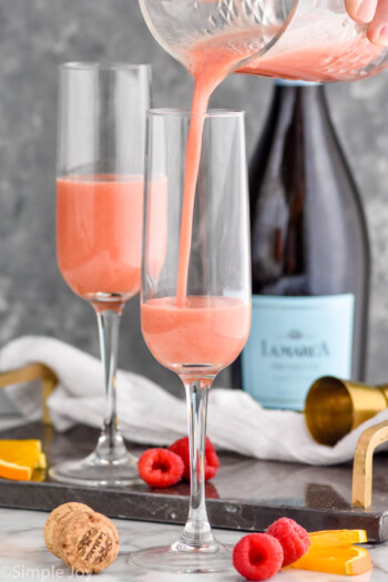 Raspberry Mimosa - Simple Joy