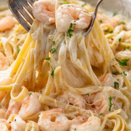 Jello Shot Recipe - Simple Joy