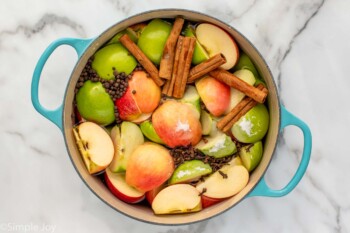 Apple Cider - Simple Joy